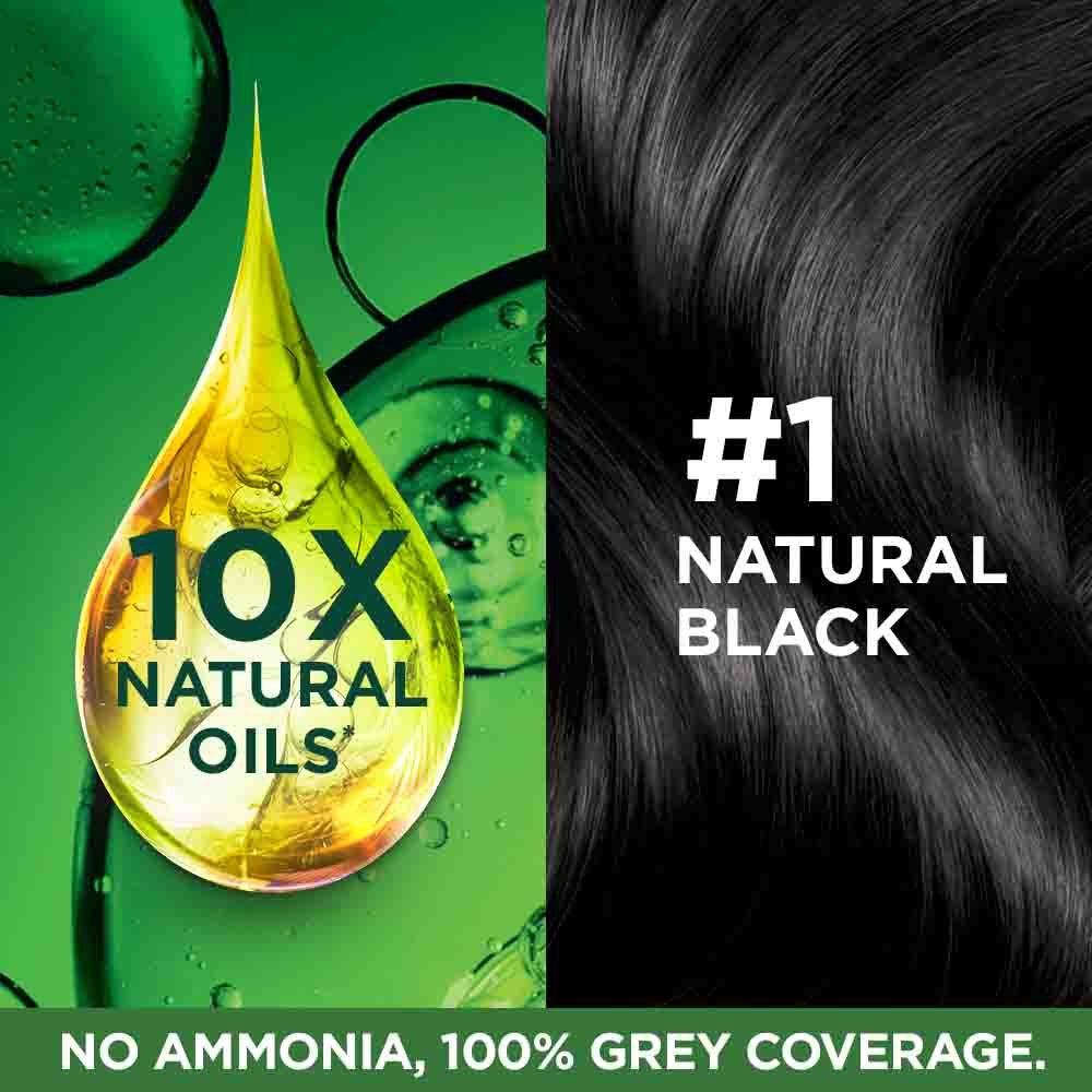 Buy Garnier Color Naturals Shade 1 Natural Black Hair Color at Best ...